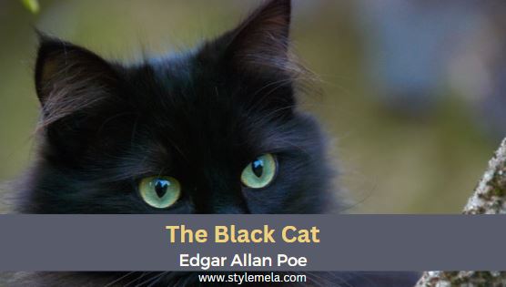 The Black Cat by Edgar Allan Poe PDF - English Literature Info